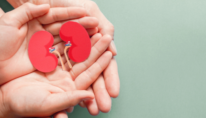 Beneath The Surface Scrutinising India s Organ Donation Laws And The beneath-the-surface-scrutinising-india-s-organ-donation-laws-and-the
