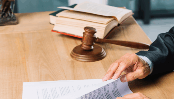 Judicial Oversight In Public procurement: Striking the right balance ...